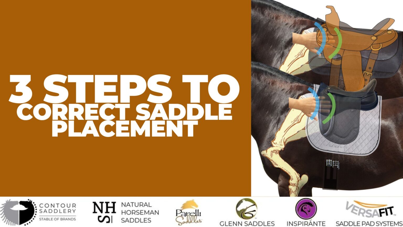 3 STEPS TO CORRECT SADDLE PLACEMENT - HORSE SADDLE SET UP - Natural ...